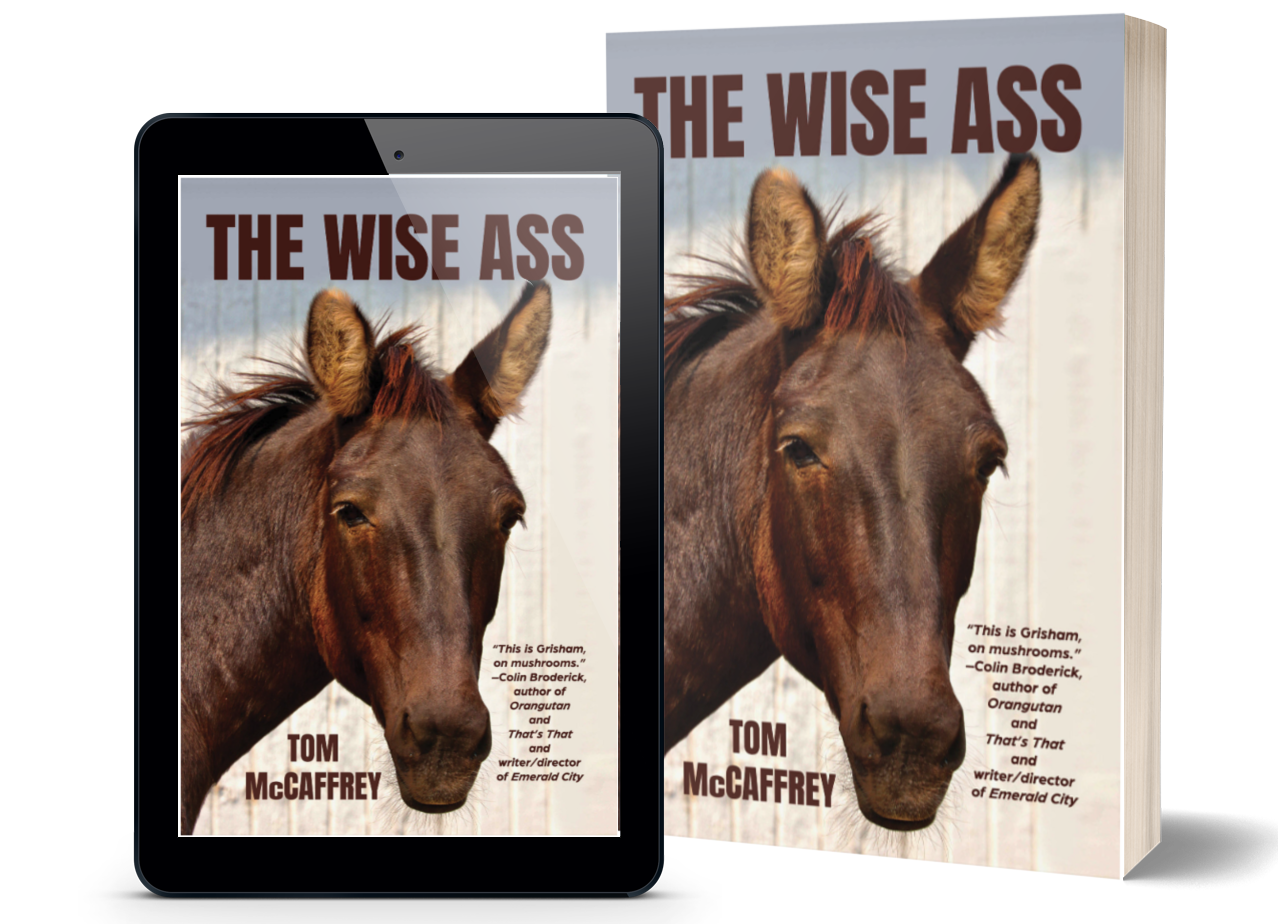 The Wise Ass – The Wise Novelist